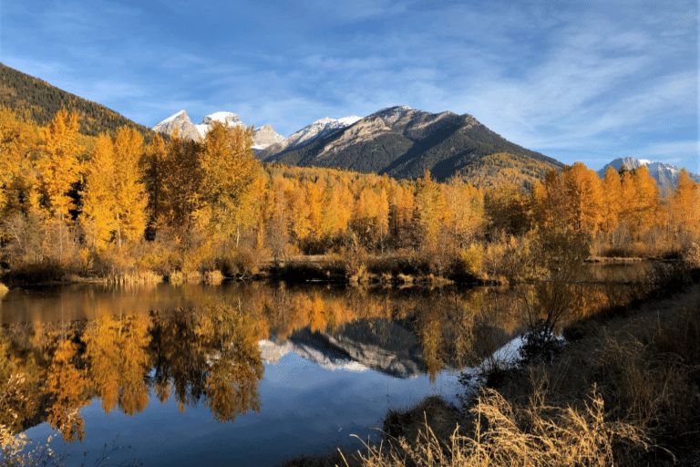 Fernie Hotel-BC Canada Resort | Red Tree Lodge - Hotel in Fernie, BC ...
