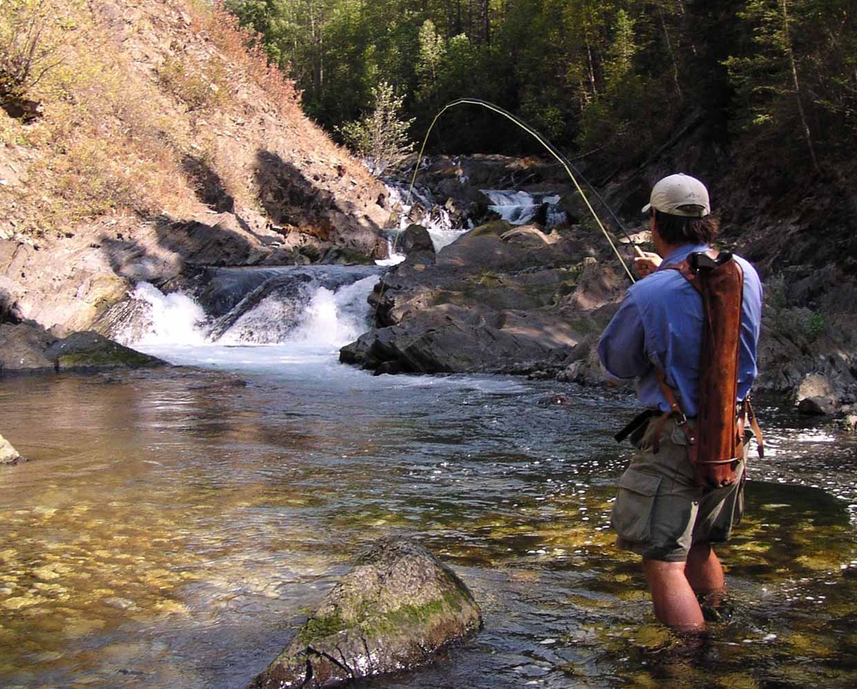 Fernie Fly Fishing - What is the best river? » Hotel in Fernie, BC ...